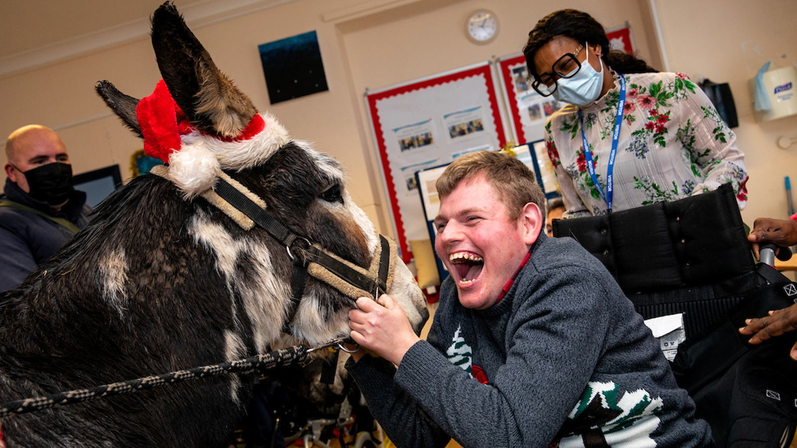 Christmas donkey debut at Shaftesbury Nash College - Shaftesbury